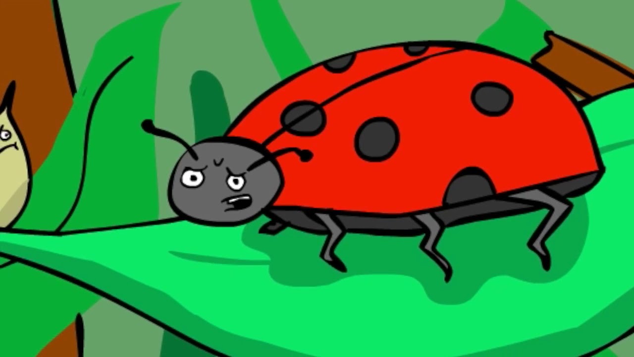 “Ladybug” - YouTube