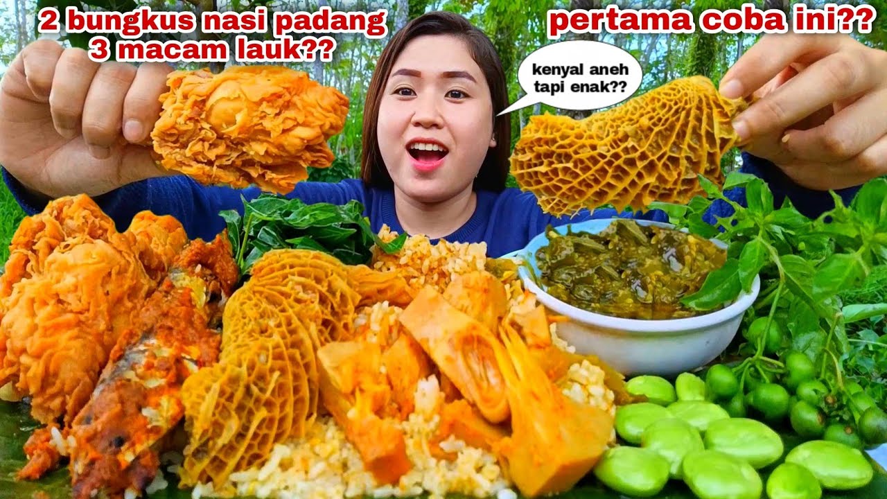 MAKAN NASI PADANG GULAI BABAT IKAN BAKAR AYAM KRIUK LALAPAN MENTAH ...