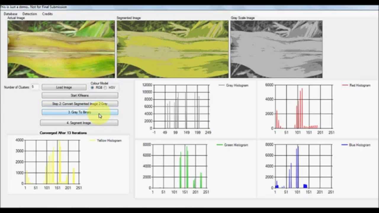 Leaf Desease Detection Based On Color Histogram, K-Means Clustering And ...
