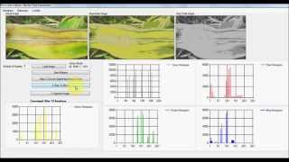 Leaf Desease Detection Based On Color Histogram K-Means... | Doovi
