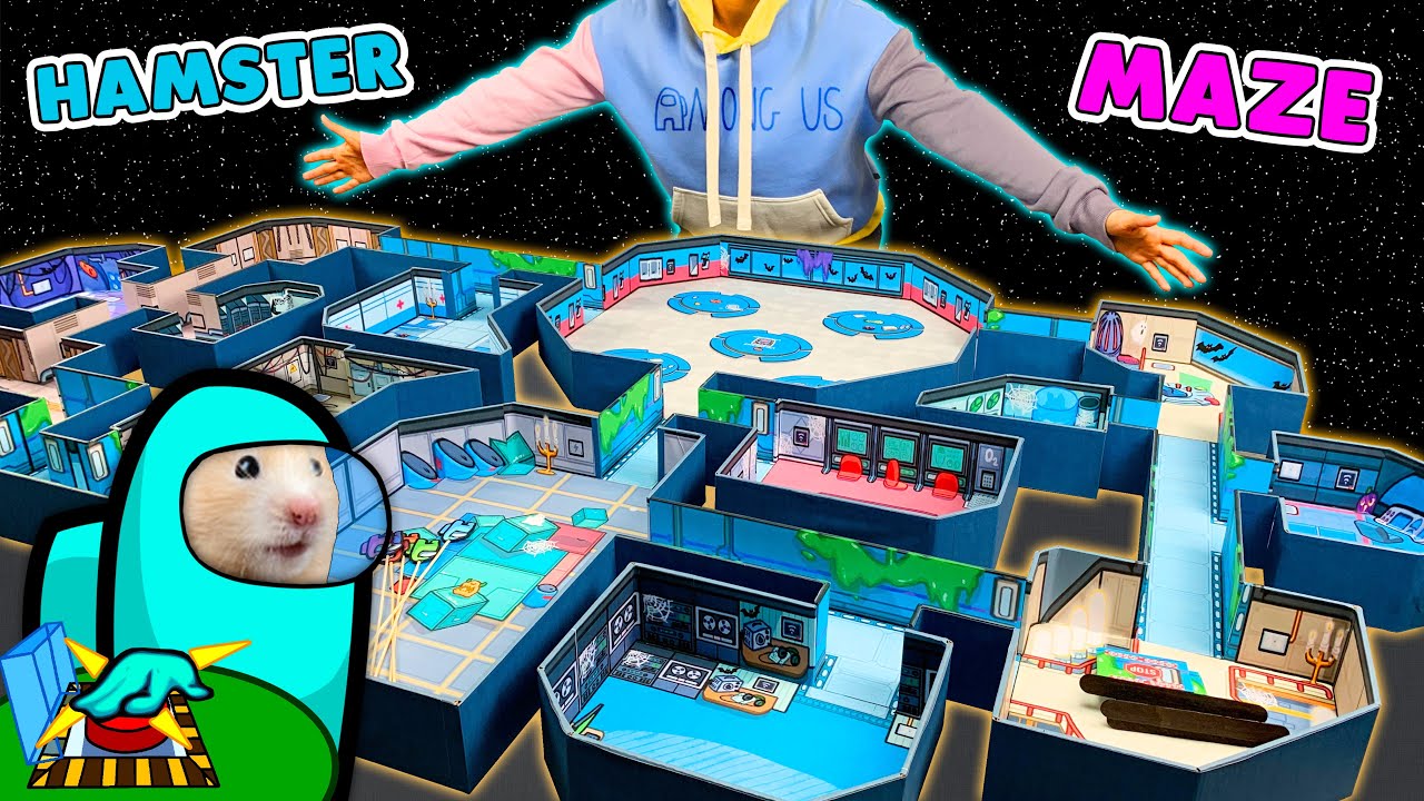 Among Us Hamster Maze | Building huge THE SKELD with cardboard DIY ...