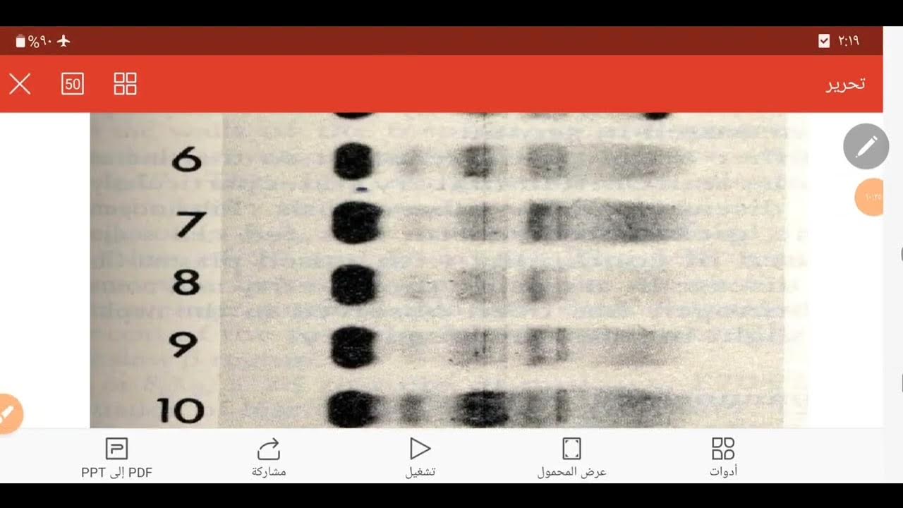 Biochemistry/ Protein electrophoresis ( lab. 5) - YouTube