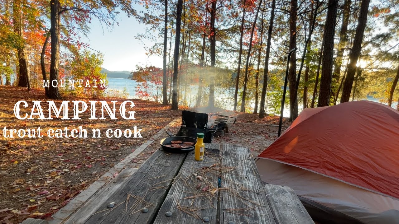 Camping in the Mountain w/ trout (catch n cook) - YouTube