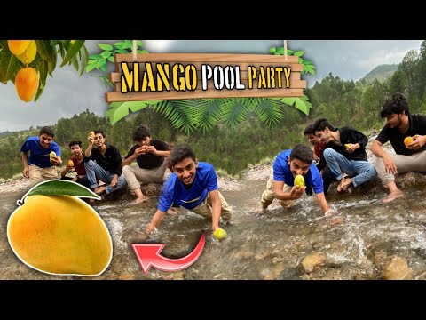 Mango Pool Party in Village River | Exploring Beautiful Village Of ...