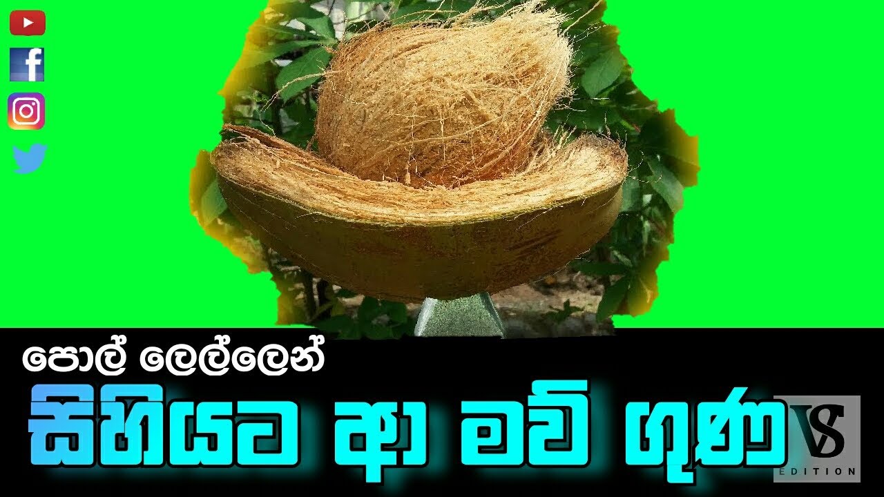 -Pol Leli - mother's Love - - YouTube