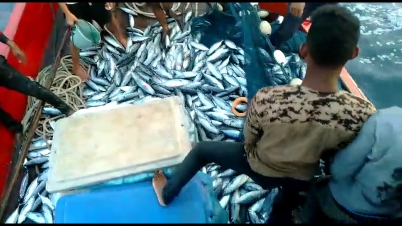 Labuh Pukat, Pasang Pukat jaring di Laut samudra india - YouTube