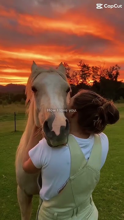 I love horse riding #horse - YouTube