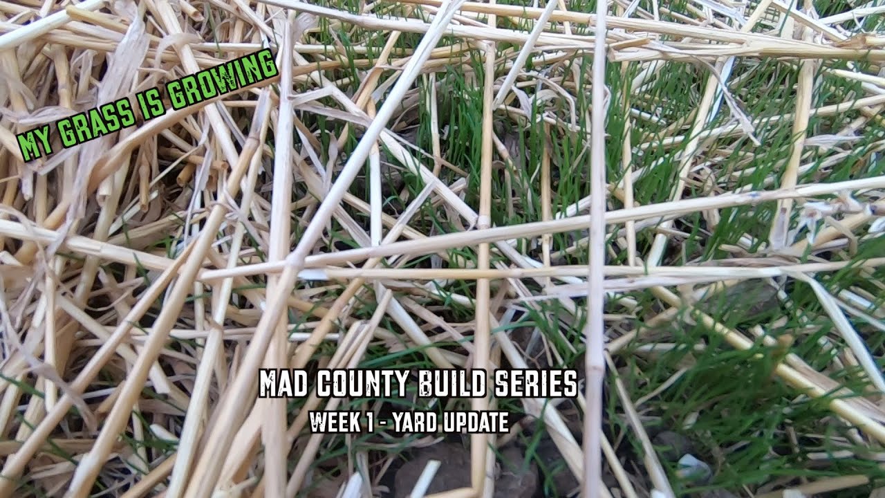 Acreage Lawn Project | Grass is Growing! | Pt3 - YouTube