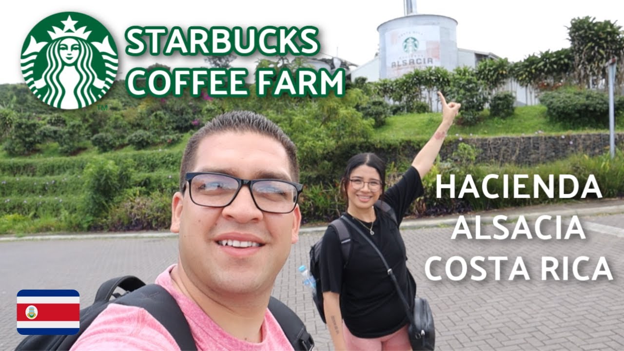 Starbucks Coffee ☕️ Farm Tour - Hacienda Alsacia | Costa Rica 🇨🇷 - YouTube