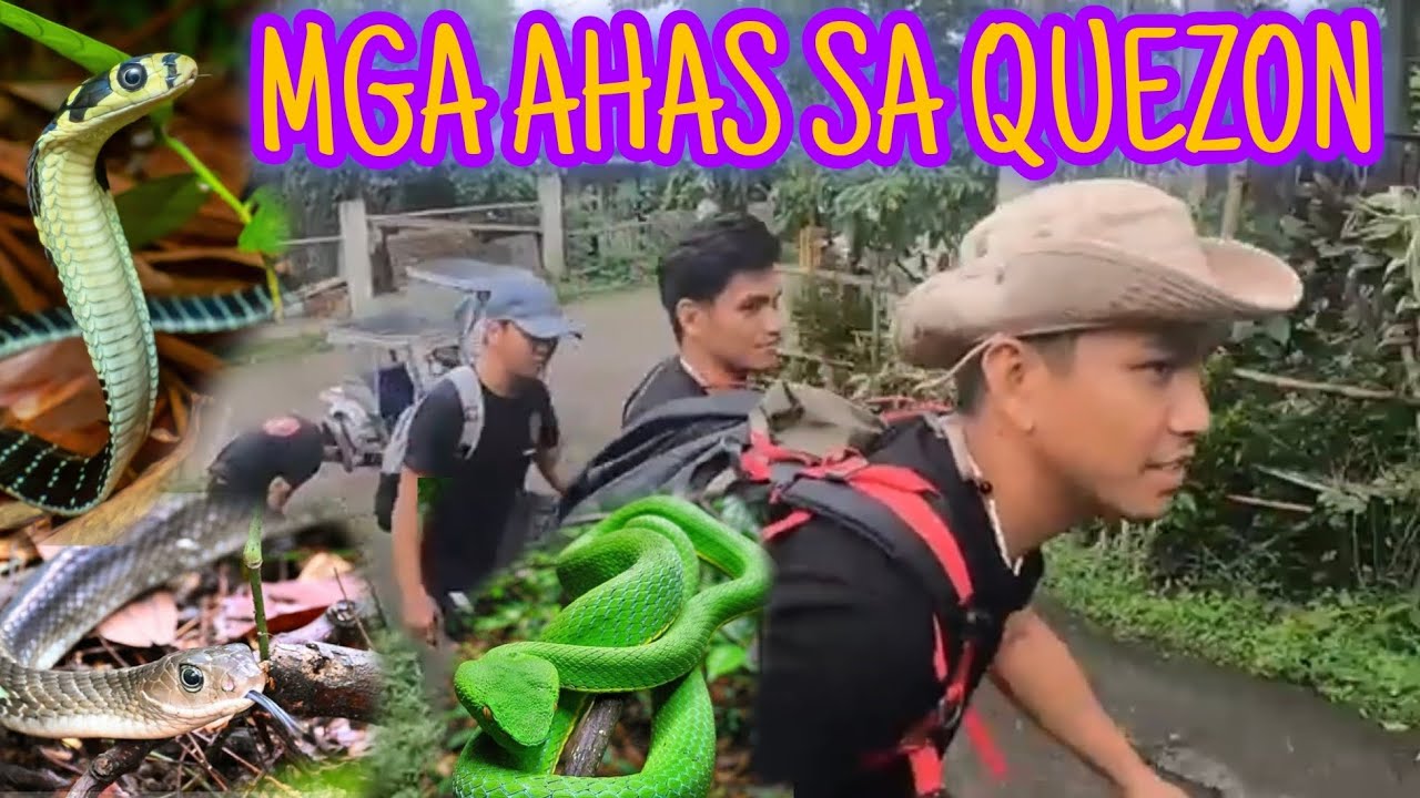 COBRA TEAM ADVENTURE. MGA AHAS SA QUEZON #cobraprince - YouTube