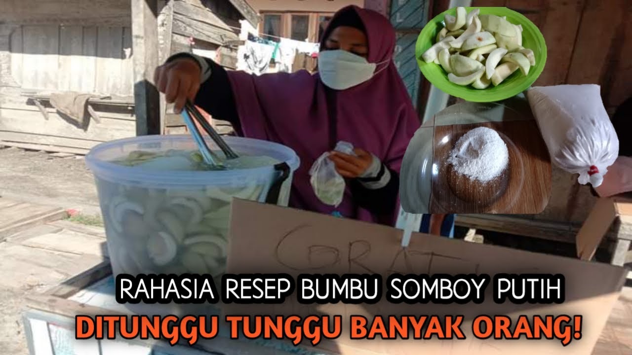 JAMBU SOMBOY PUTIH DIBAGI BAGIKAN SECARA GRATIS!! MEMBUAT YANG ...