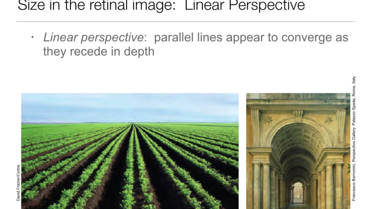 Perception 6 2 Static Monocular Cues YouTube perception-6-2-static-monocular-cues-youtube
