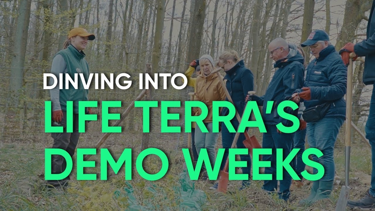 Life Terra's demo weeks: how your company can join? - YouTube