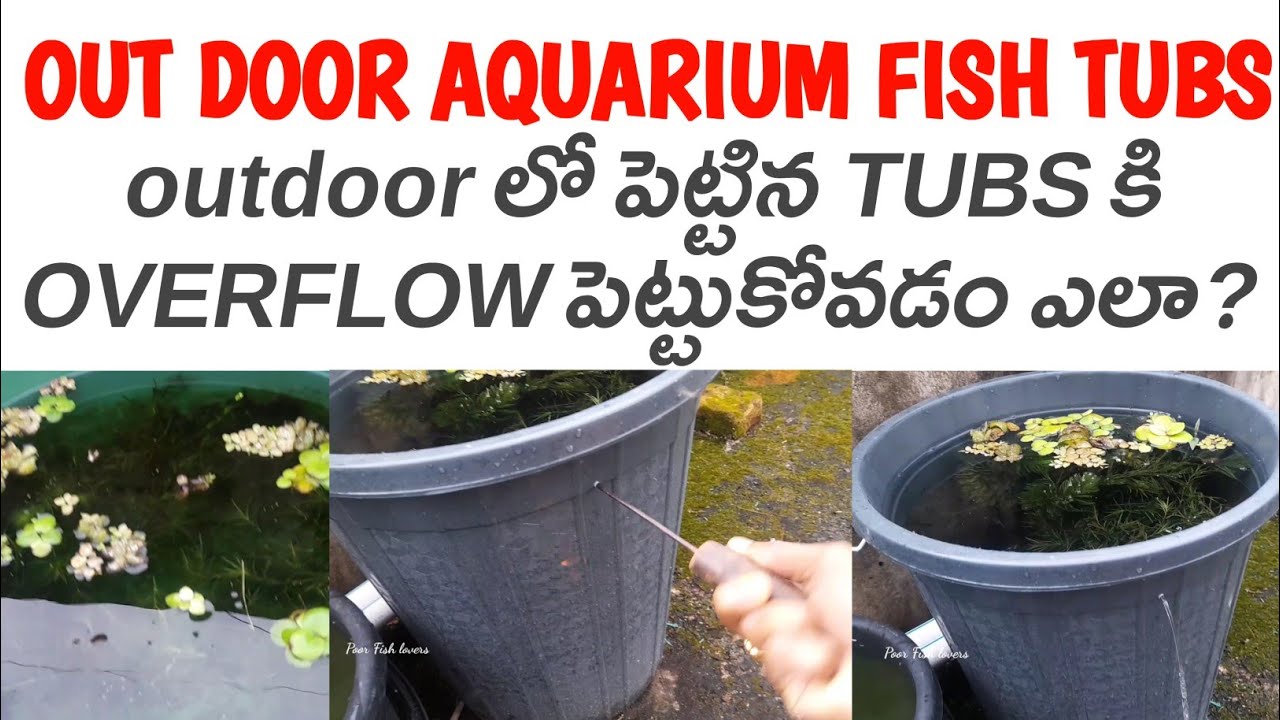 Out Door Aquarium Fish Tub water overflow Problam Solved | Out Door ...