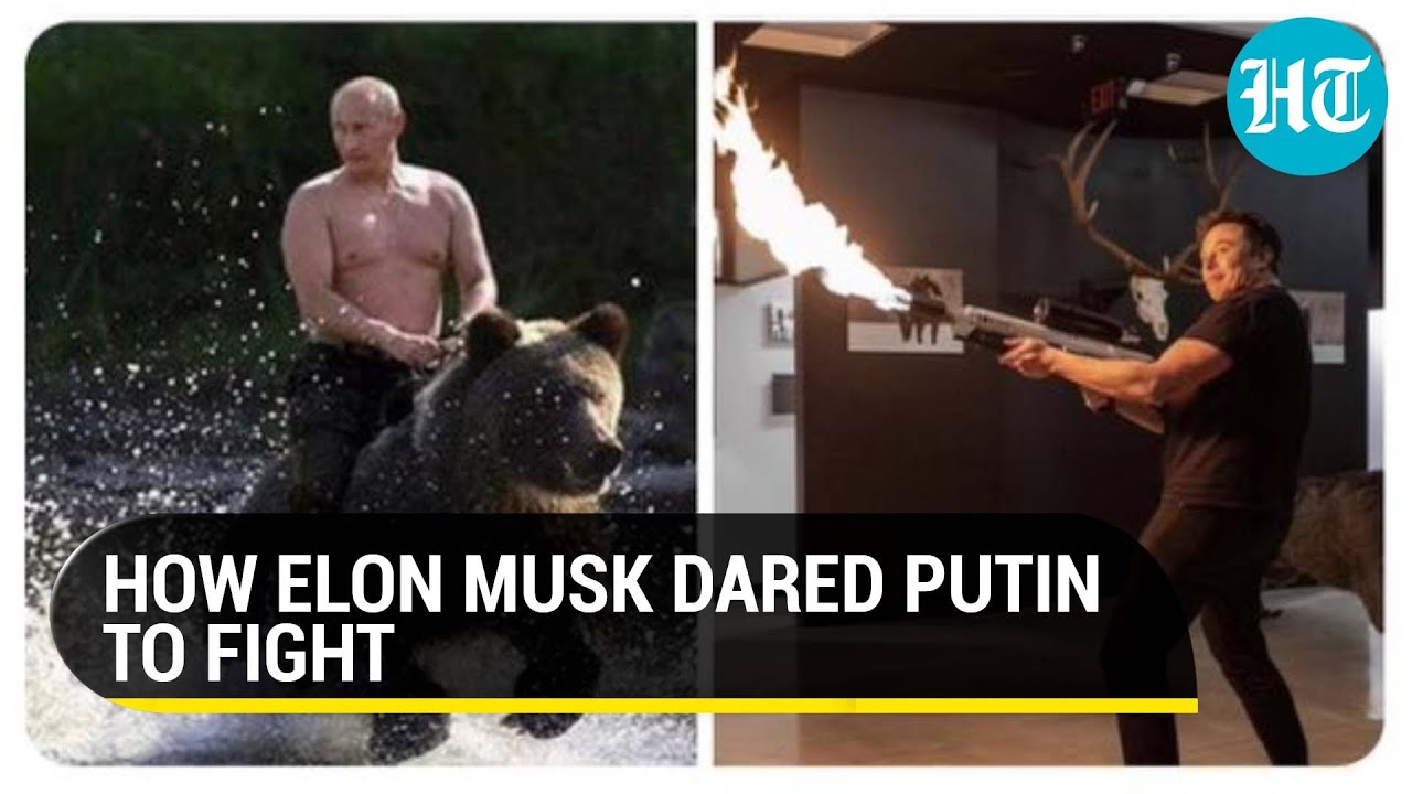 'Stakes are Ukraine': Elon Musk challenges Russian President Putin to ...