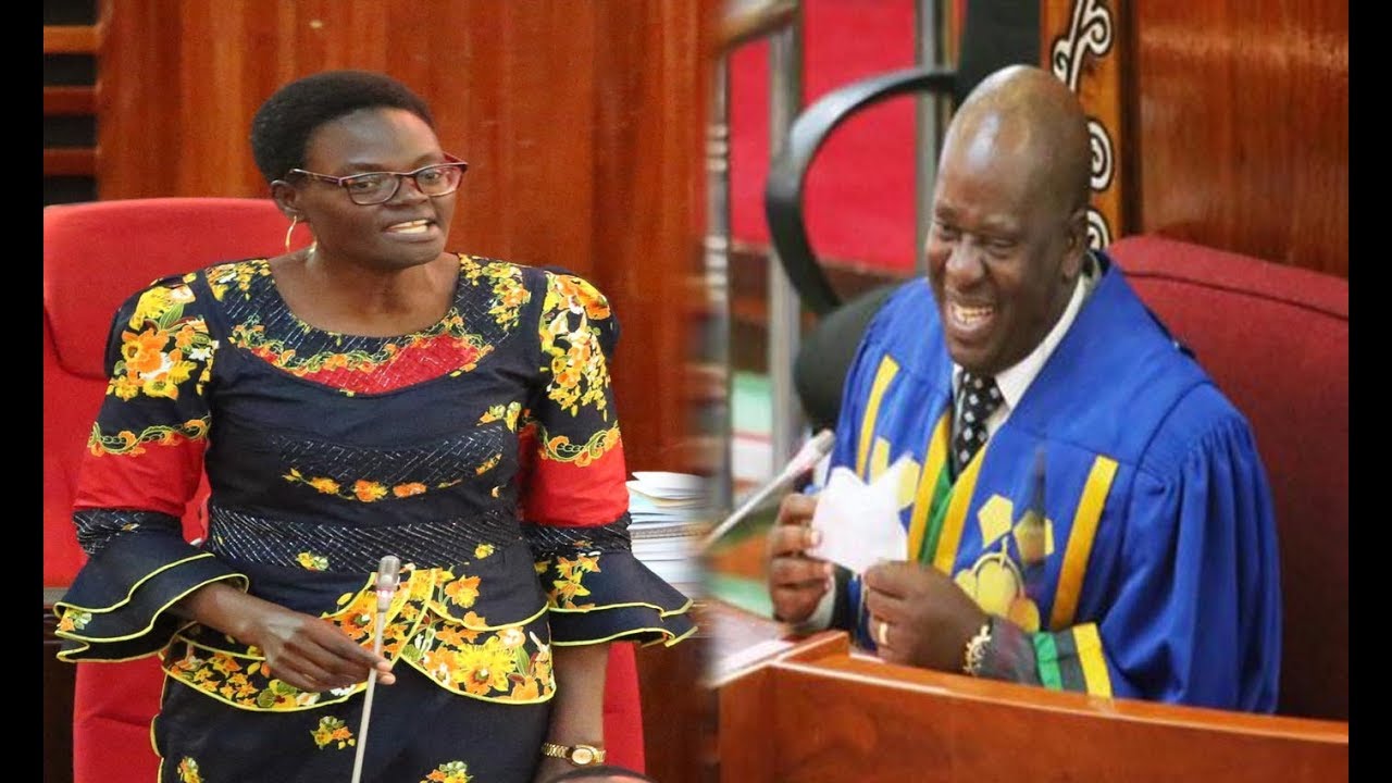 UTANI WA SPIKA NDUGAI BAADA YA DR. TULIA KUULIZA SWALI BUNGENI ...