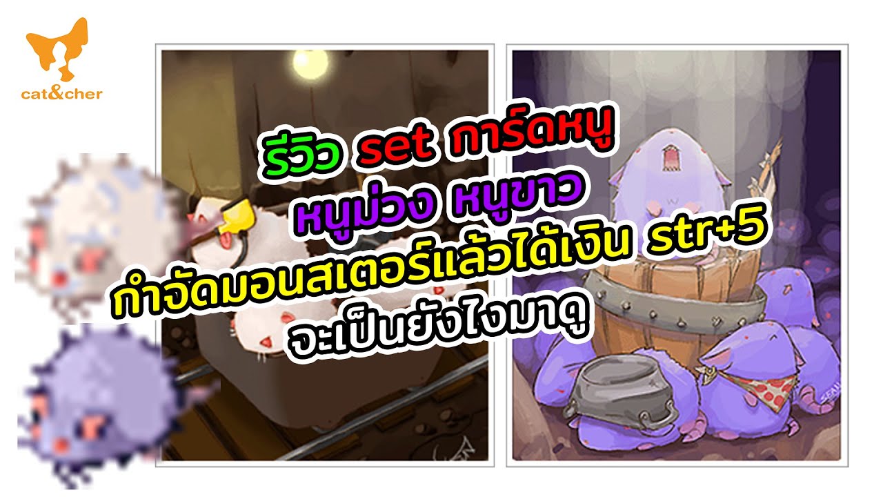 ragnarok classic รีวิว การ์ด set หนูม่วง หนูขาว Tarou Cramp กำจัดมอนสเต ...