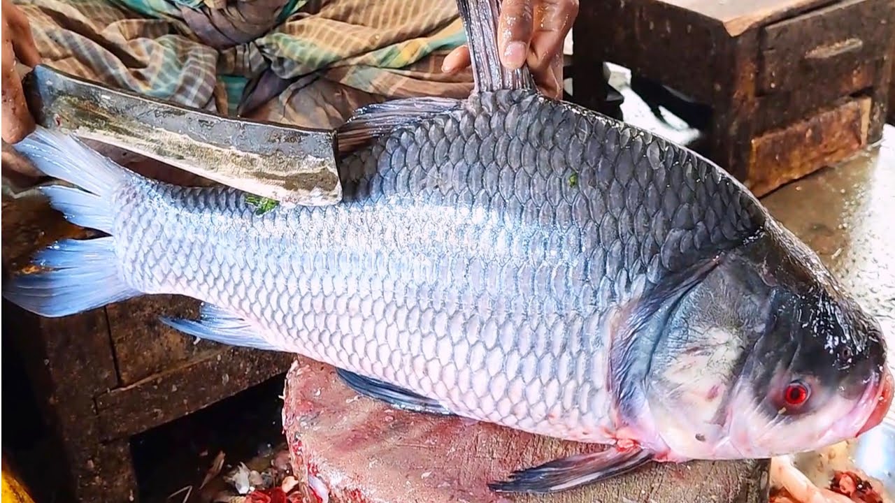 Amazing Giant Katla Fish Cutting Skills Live In Fish Market | Fish ...