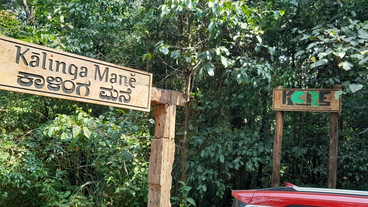 Kalinga mane - kcre full info || Agumbe || @dsmanju || # ...