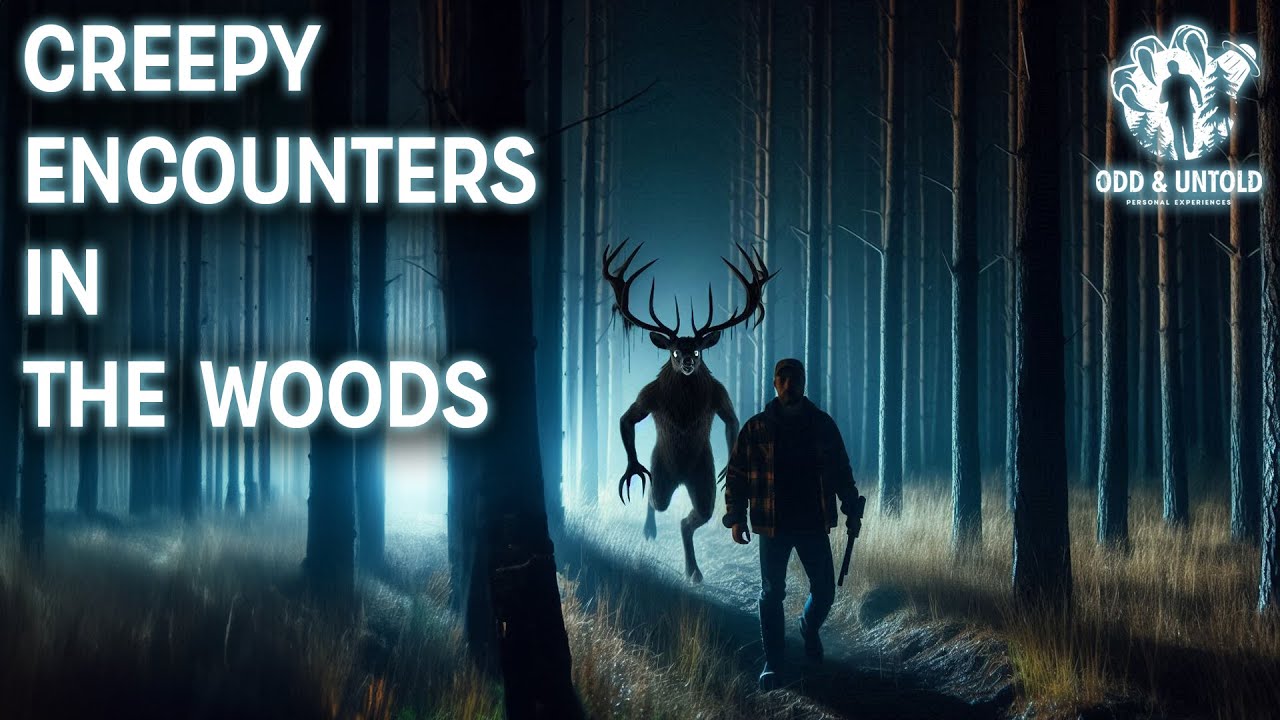 Creepy Encounters in the Woods - YouTube