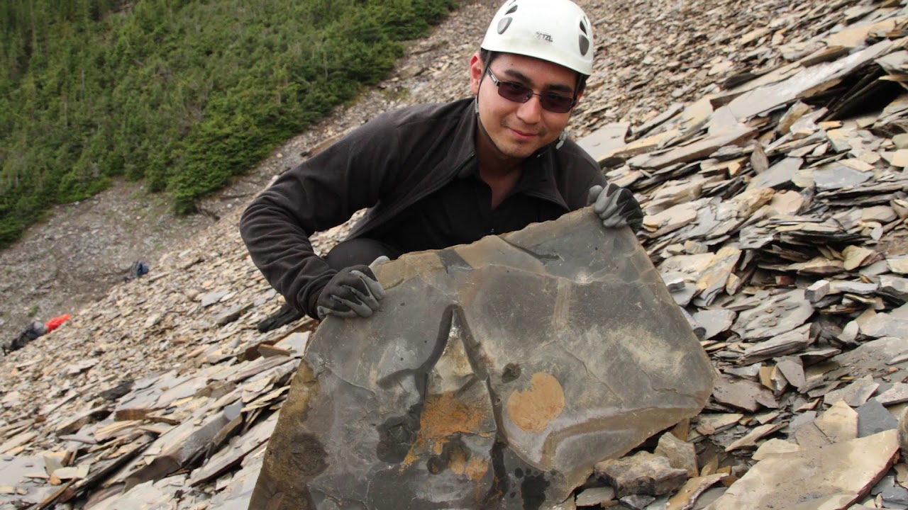 Meet the Scientist: Paleontologist Karma Nanglu - YouTube