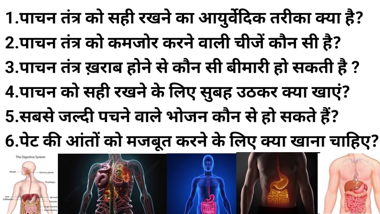 How To Strong a Digestive System | Indigestion | Intestines | Weak ...