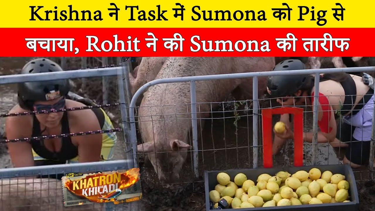 Krishna Shroff saved Sumona from pigs, Pig Task in Khatron Ke Khiladi ...