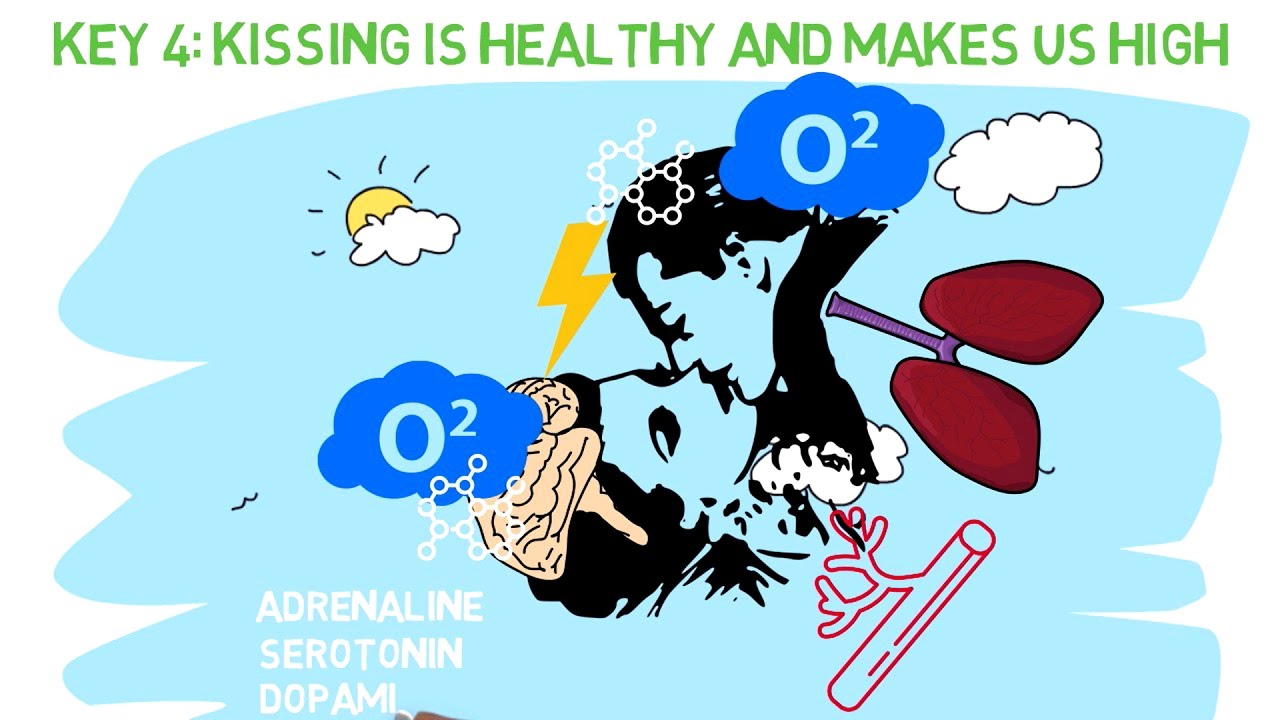 The Science of Kissing by Sheril Kirshenbaum (Animated Book Summary ...