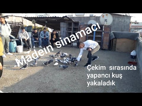 Medein Sinamaci yusuf  part..2