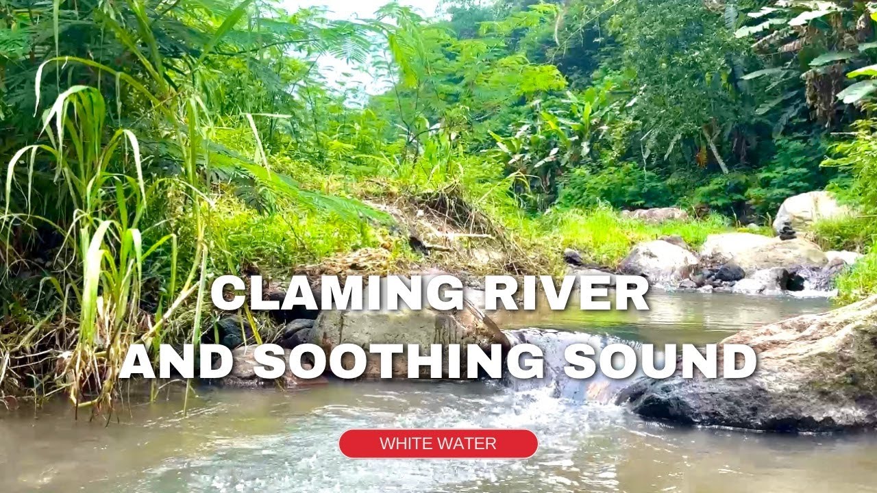 Healing River Flow | Calm Nature Escape - YouTube