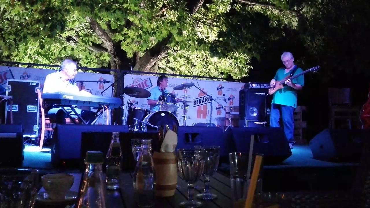 Trio Puiu Pascu - YouTube