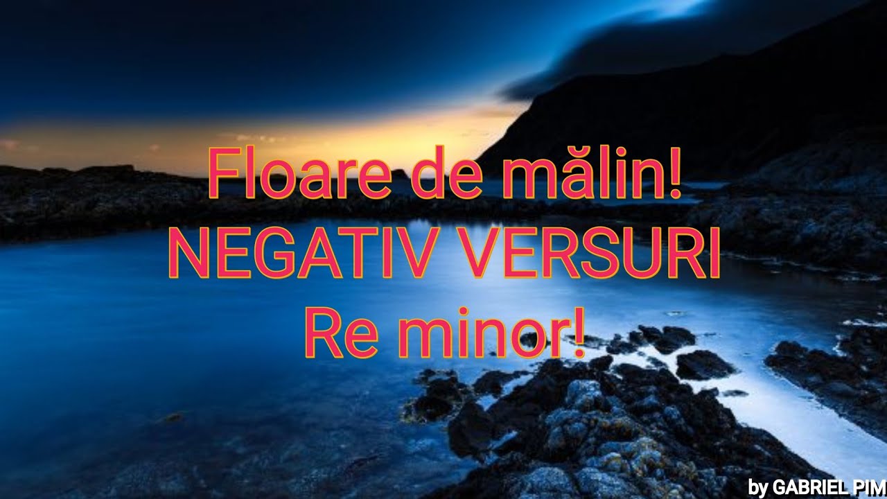 Floare de malin! NEGATIV VERSURI Re minor! - YouTube