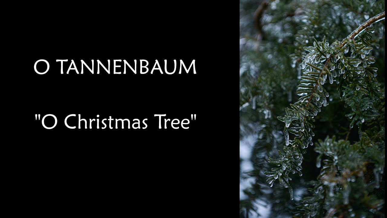 O TANNENBAUM "O Christmas Tree" 尺八 - YouTube