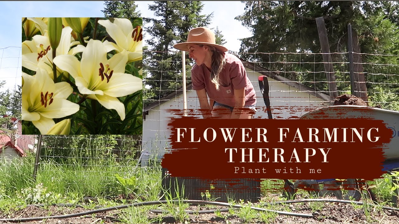 Flower Farming therapy | Plant with me | FUTURE PLANS FOR THE FLOWER ...