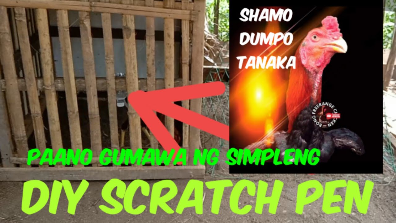 diy scratch pen - YouTube