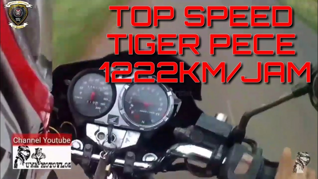 TOP SPEED HONDA TIGER REVO | MOTOVLOG 21 HONDA TIGER PECE 2010 - YouTube