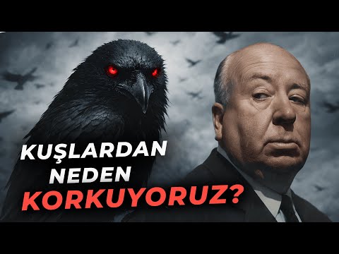 Kuşlardan Neden Korkuyoruz? The Birds Film İncelemesi
