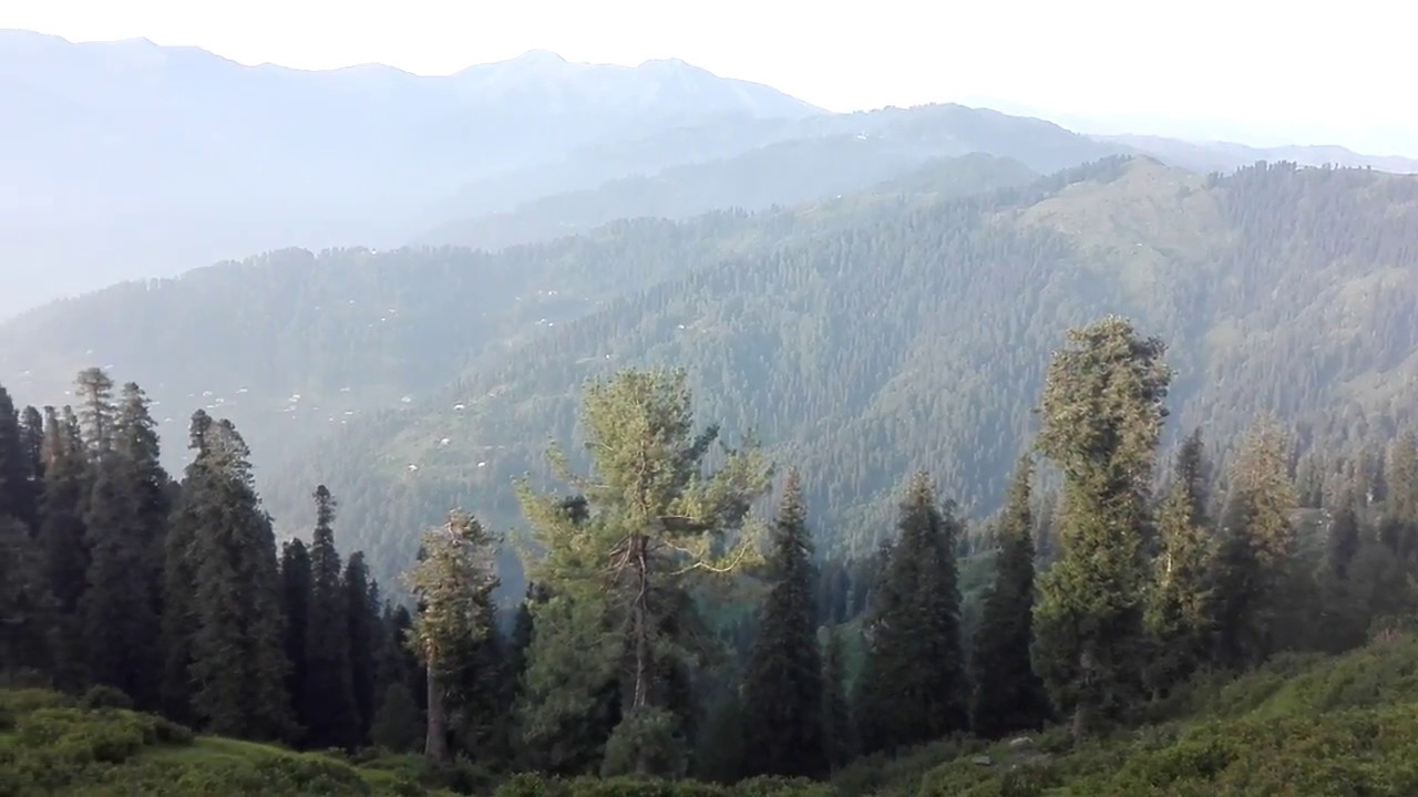 ToLi peer beautifull video - YouTube