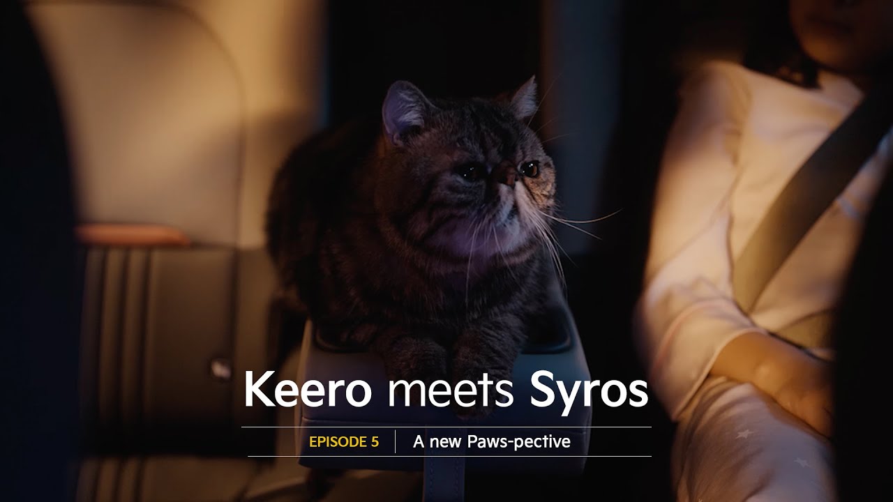 Kia India | Keero Meets Syros | EP 05: A new Paws-pective - YouTube