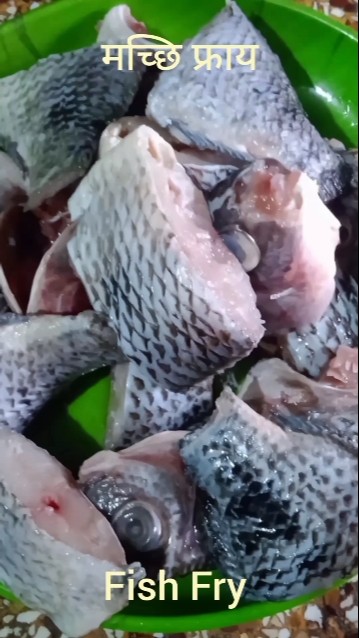 Fish Fry, मच्छी फ्राय, Agari Masala #marathi #shortsviral #agarikoli # ...