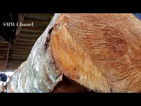 Rugi Besar,,Ketika kayu basah dipaksa langsung dibelah,maka hal buruk ini bisa tiba-tiba menimpamu !