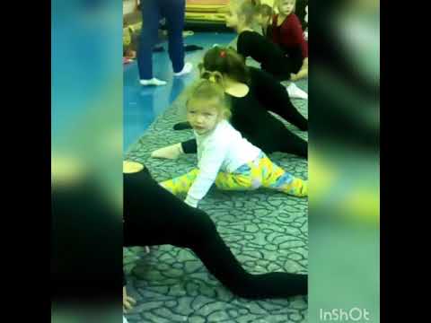 Художественная гимнастика 1 год