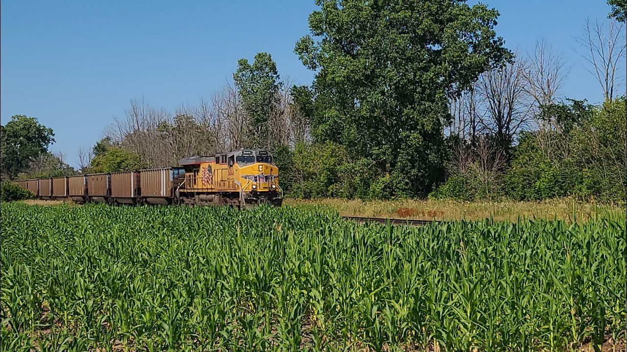 UP 5444 Leads Edgewater Empties Southbound 7-25-2024 - YouTube