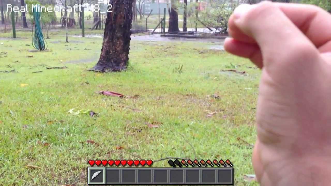 Real Life Minecraft - CANE TOAD AUSSIE PEST!! - YouTube