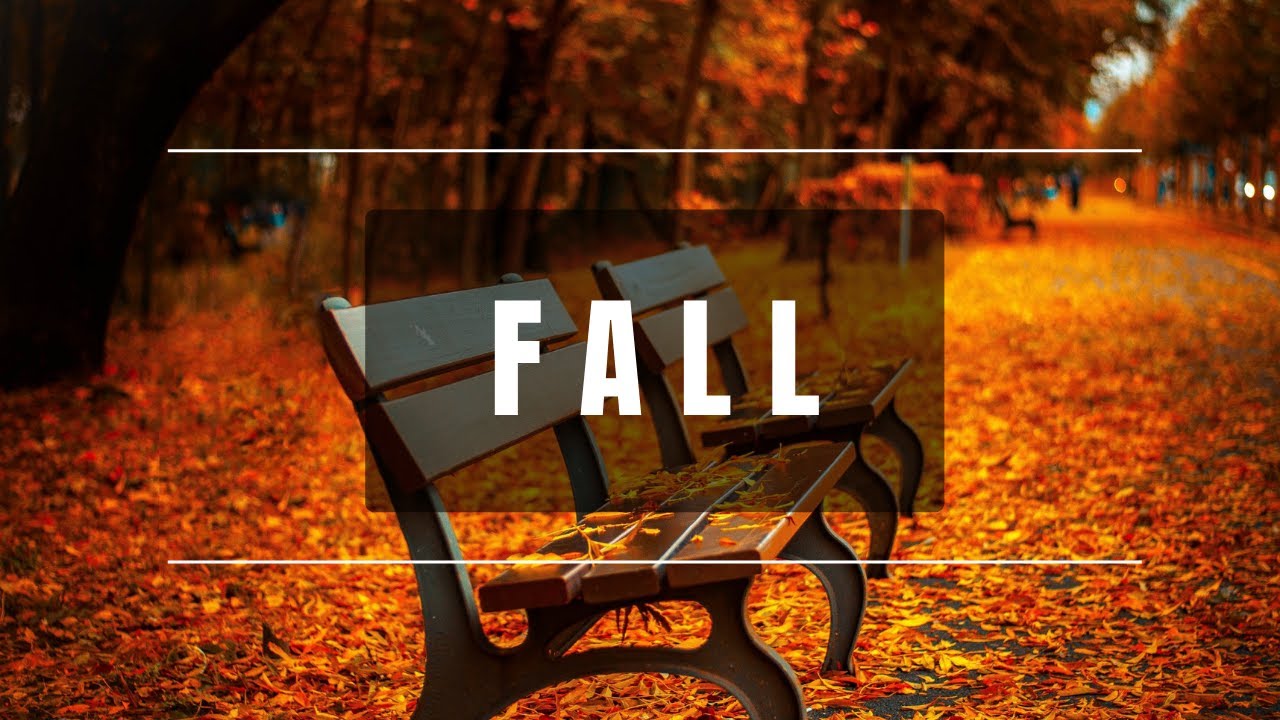 4k Fall Videos with Music to Sleep Relax Meditate Concentrate and Study ...