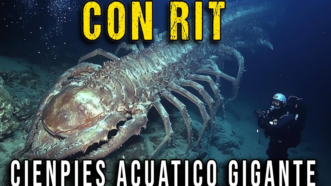 Con Rit - El Devorador de Barcos de Vietnam | Criptozoologia - YouTube