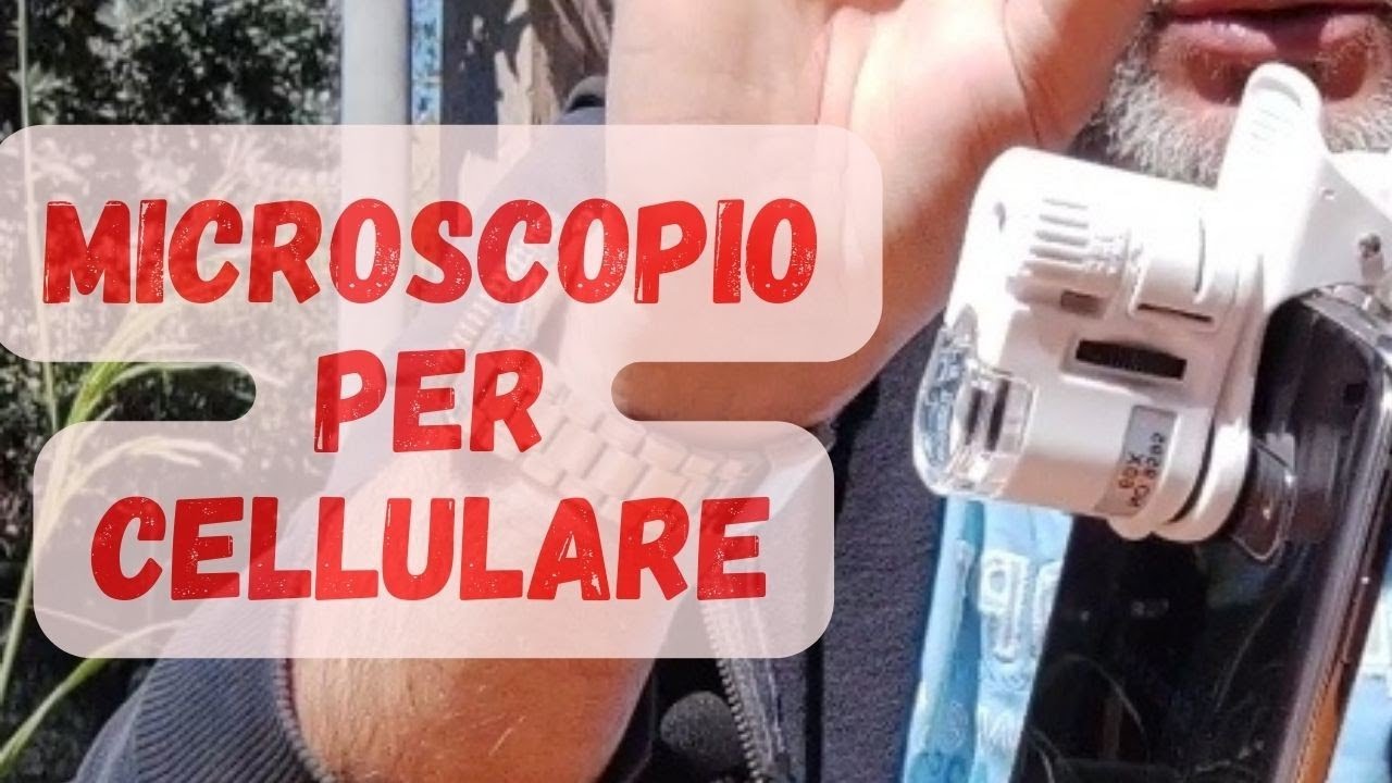Microscopi per il cellulare - YouTube
