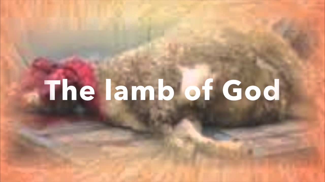 Frederico Cardella Moses/ Freddy Hayler - YouTube