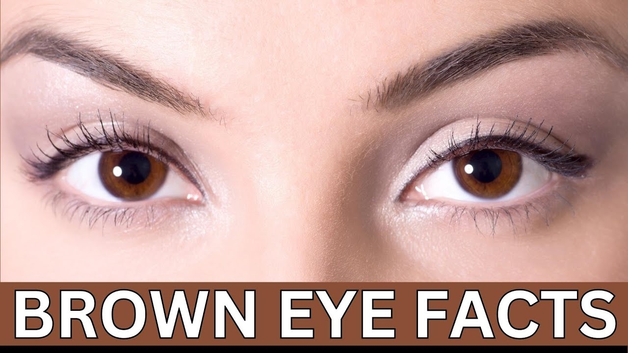 Brown Eye Facts | Facts about People with Brown Eyes | Eye Color Facts ...