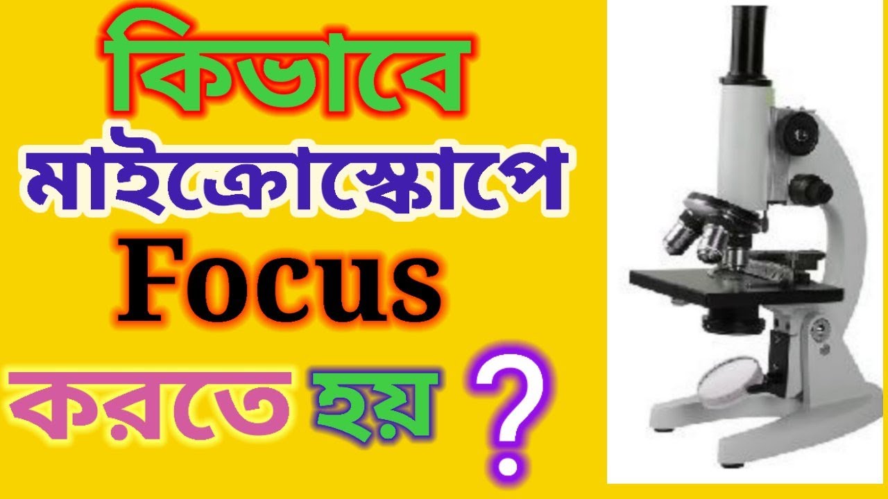 How To Focus A Light Microscope_The Best Microscope Focusing Procedure ...